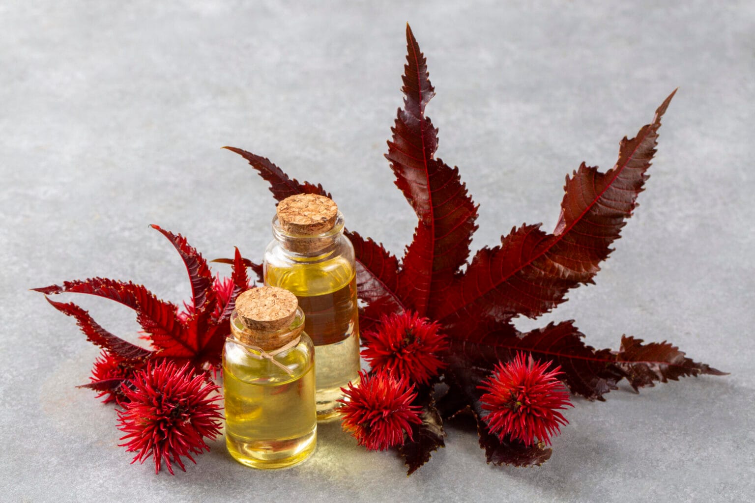 Castor Oil Tested For Toxic Phthalates - Guide - MAMAVATION